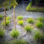 Total Landscape Solutions | Manawatu, Palmerston North